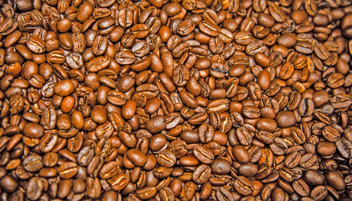 Bean Traders Bean Traders